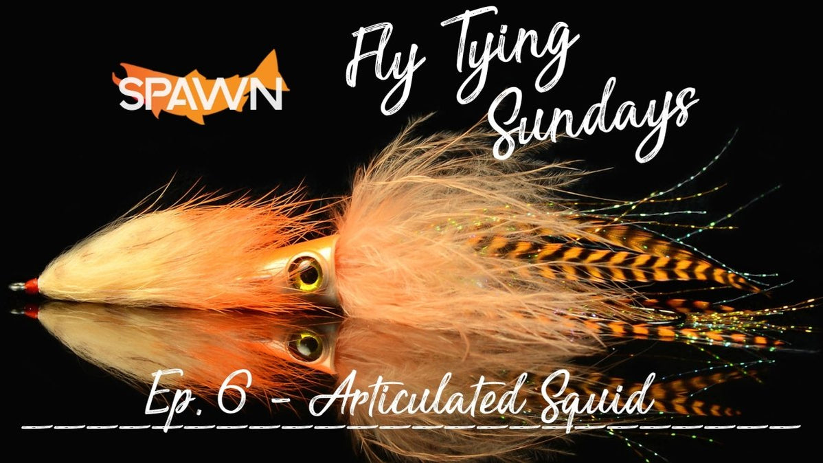 How To Tie an Articulated Squid for Saltwater Fly Fishing– Spawn Fly Fish