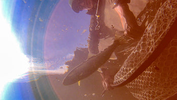 "The Game" - A Deep Dive into Josh Phillips' Journey from Professional ...