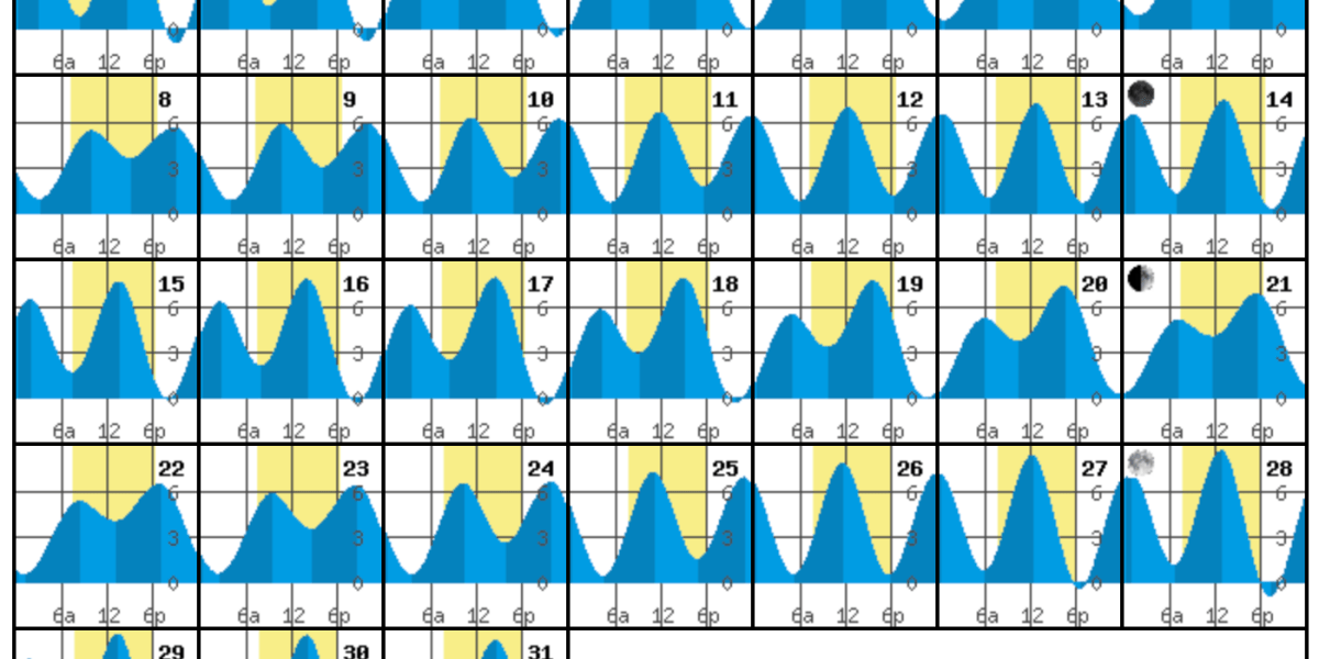 Tide Terminology - Everything you need to know– Spawn Fly Fish