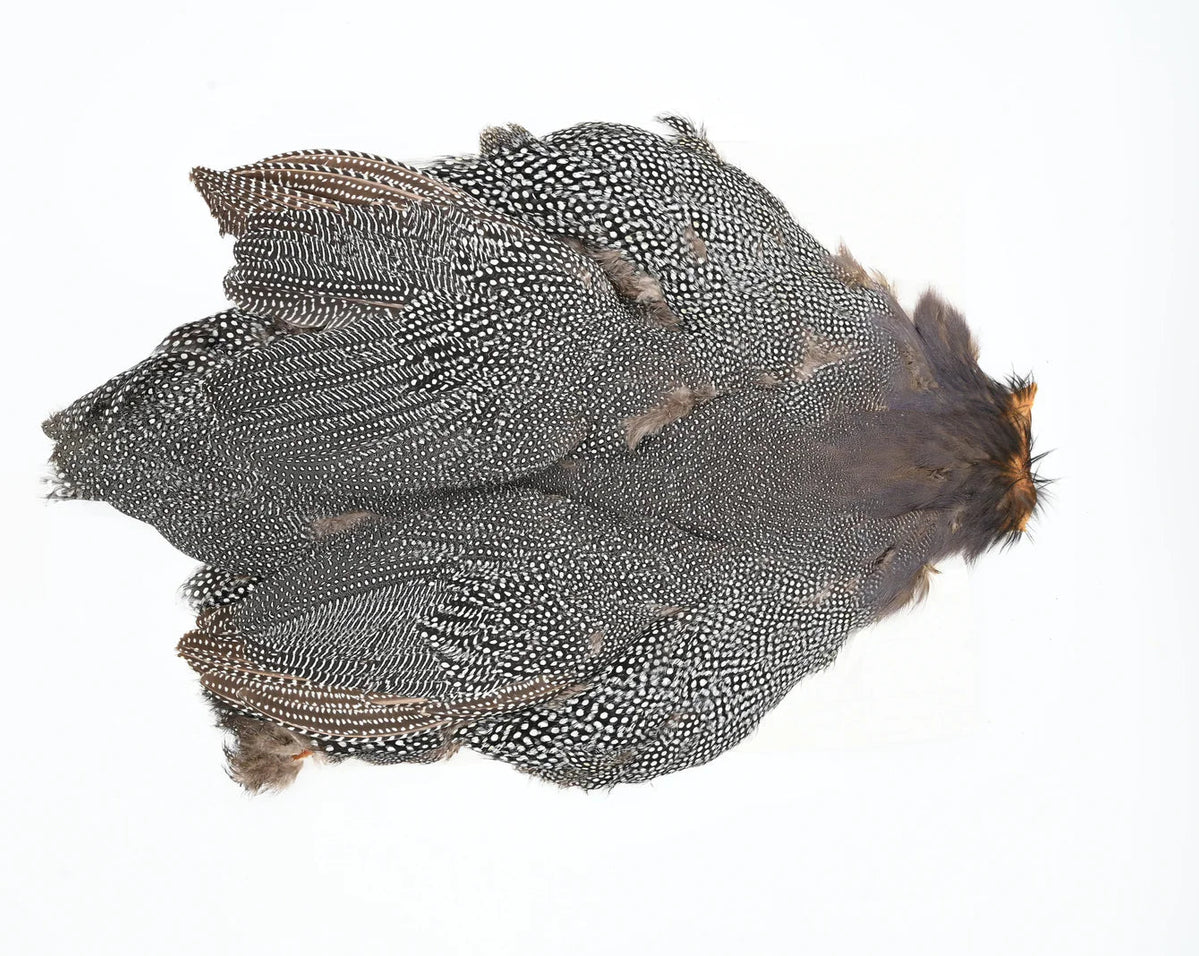 Whiting Farms: Elevating Your Fly Tying Experience with Spawn Fly Fish ...