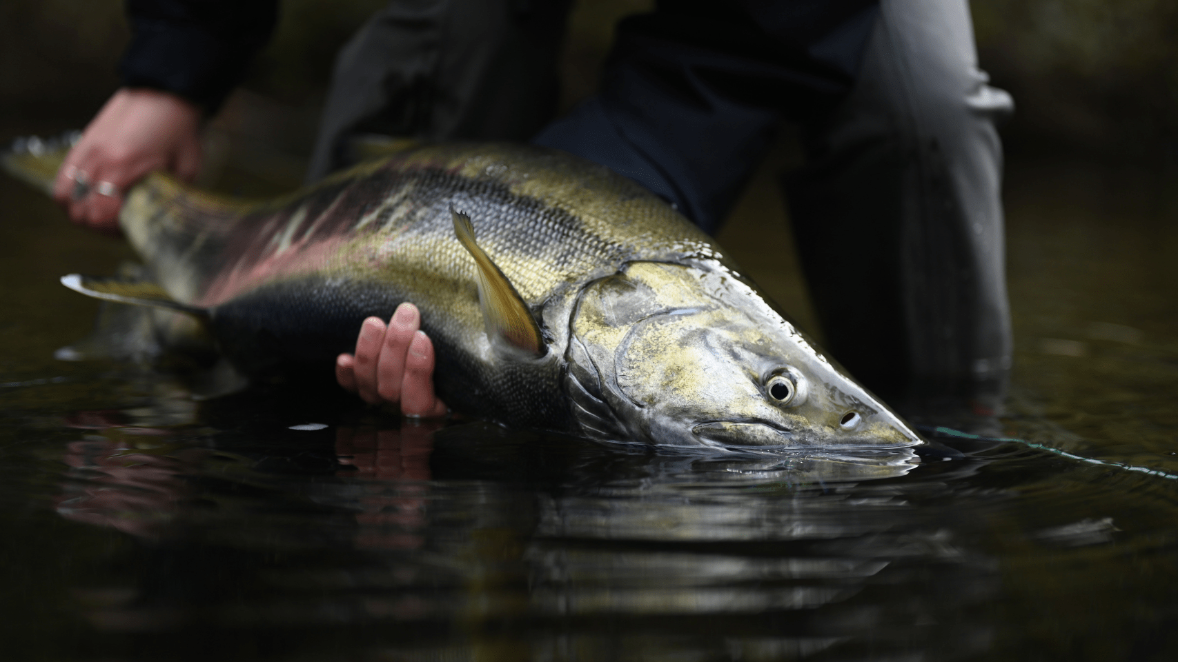 TOP DEALS - Spawn Fly Fish – Page 2 – Spawn Fly Fish