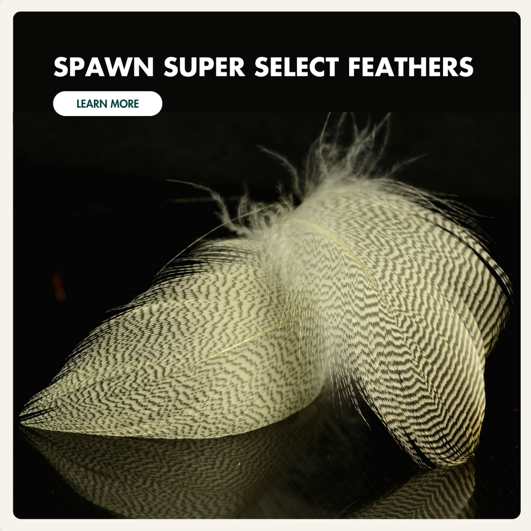 Spawn Fly Fish: Your One Stop Fly Fishing Shop– Spawn Fly Fish