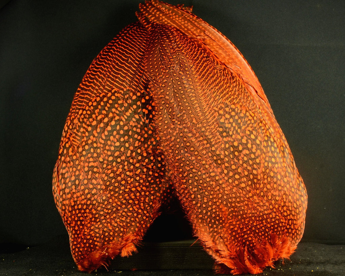 Whiting Farms Guinea Fowl - Paired Wings - Spawn Fly Fish– Spawn Fly Fish