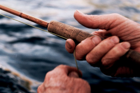 ECHO Gecko Fly Rod - Spawn Fly Fish – Spawn Fly Fish