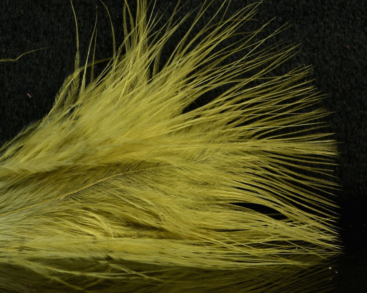 Fish Hunter Blood Quill Marabou Master Pack - Spawn Fly Fish– Spawn Fly ...