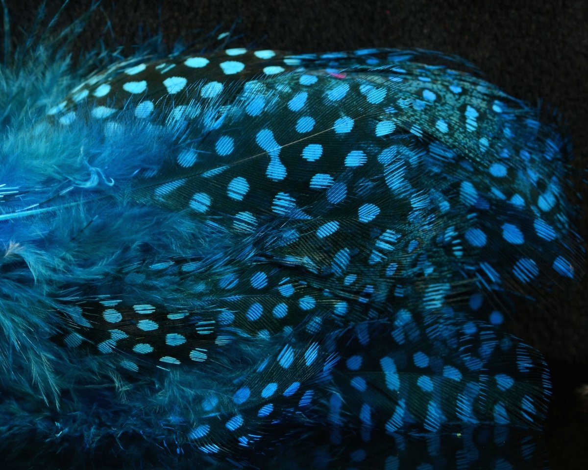 Feathers - Spawn Fly Fish– Page 2 – Spawn Fly Fish