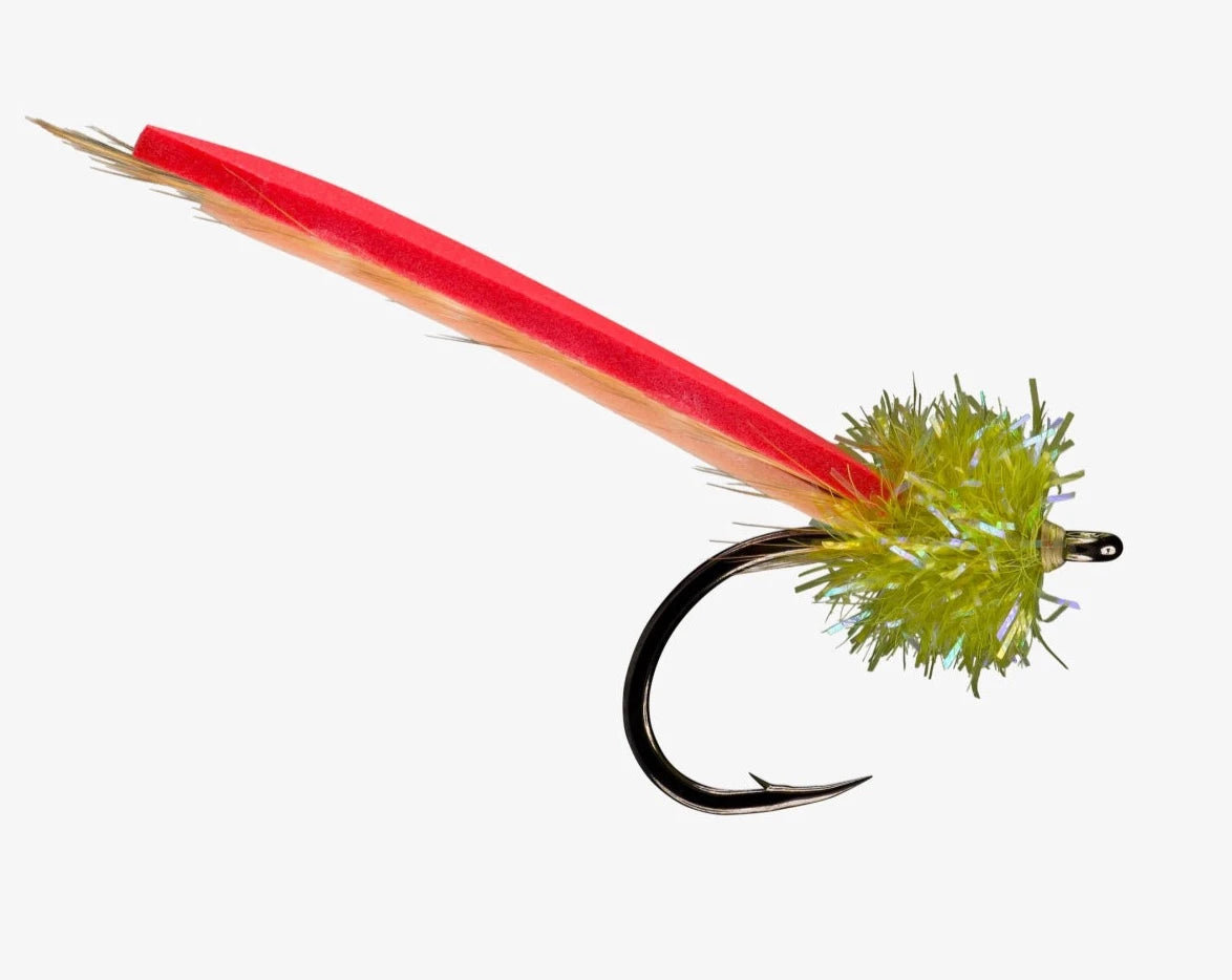 RIO's Palolo Worm - Spawn Fly Fish– Spawn Fly Fish