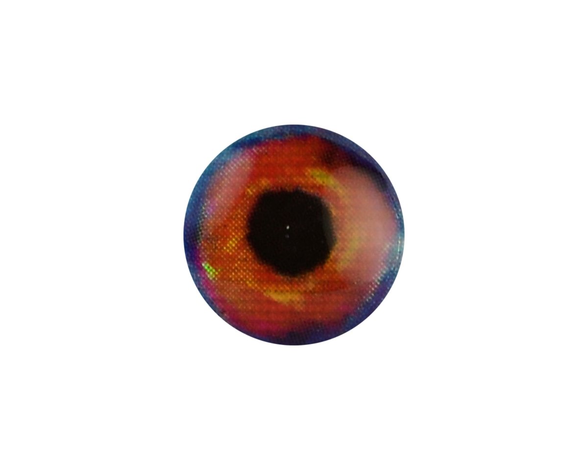 Spawn Eyes - Spawn Fly Fish – Spawn Fly Fish