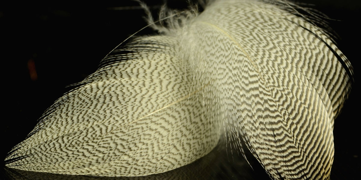 Spawn Super Select Mallard Flank - Spawn Fly Fish– Spawn Fly Fish