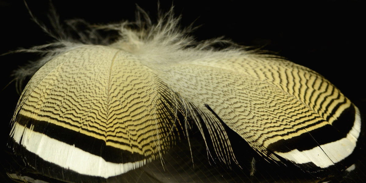 Spawn Super Select Barred Wood Duck - Spawn Fly Fish– Spawn Fly Fish