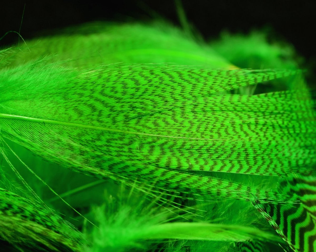 Hareline Teal Flank Feathers - Spawn Fly Fish– Spawn Fly Fish